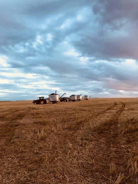 On Farm Grain - Davis Grain
